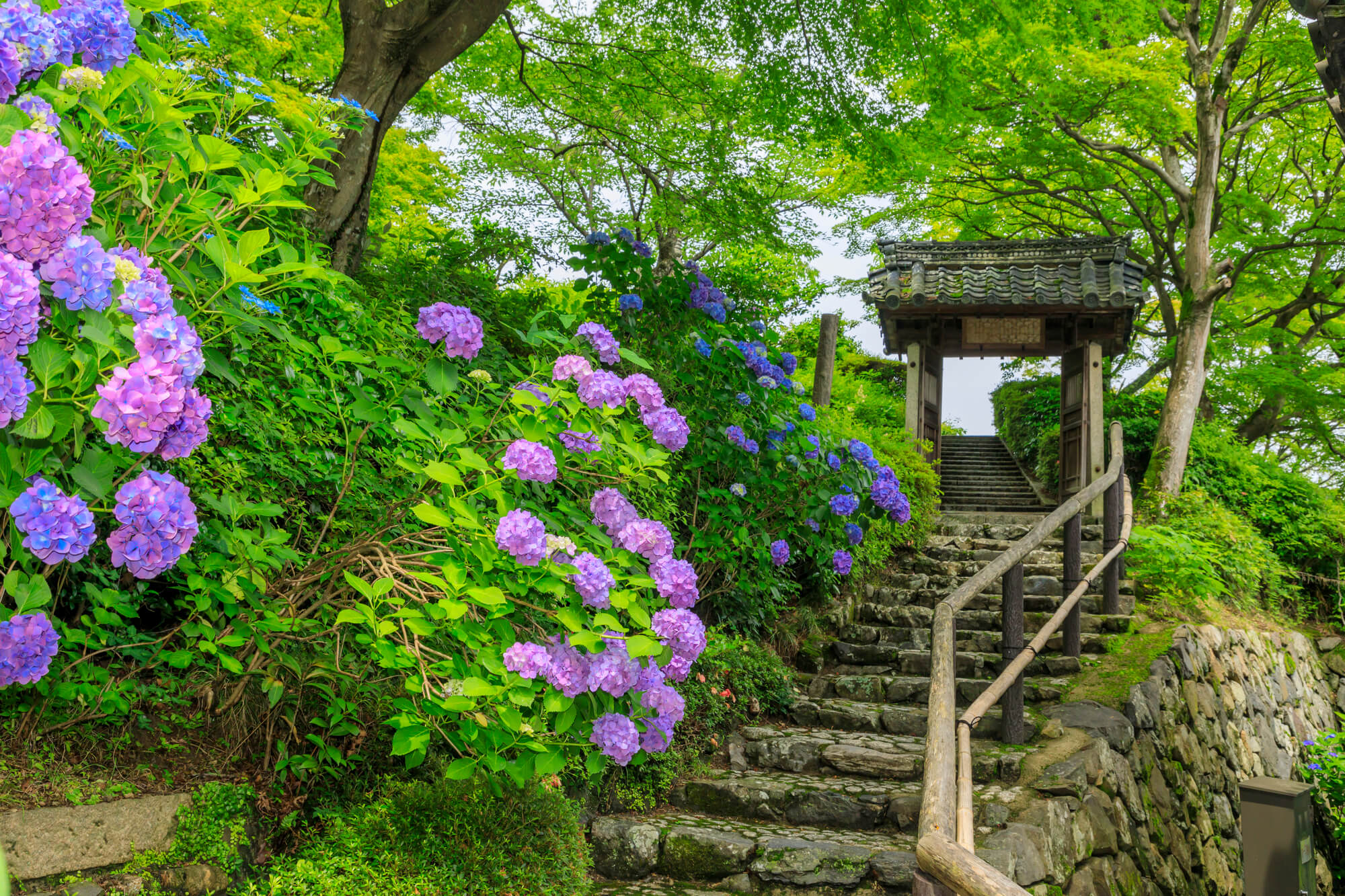 top_main_nishikyo | とっておきの京都プロジェクト