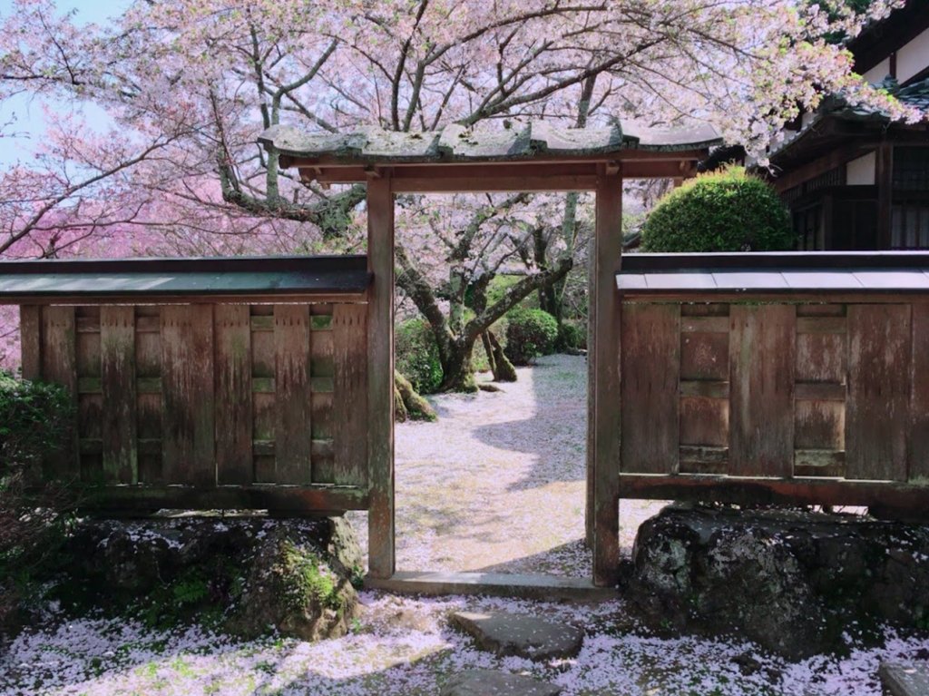 2023-sakura-spot-nishikyo-rakusei11 | とっておきの京都プロジェクト