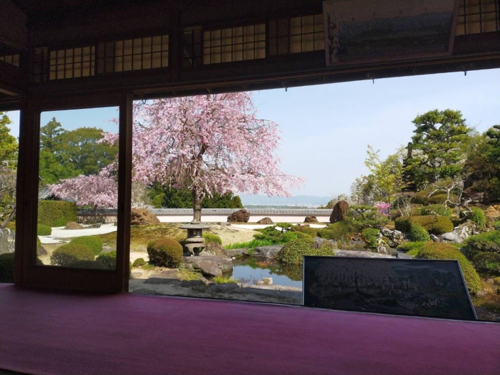 2023-sakura-spot-nishikyo-rakusei14 | とっておきの京都プロジェクト